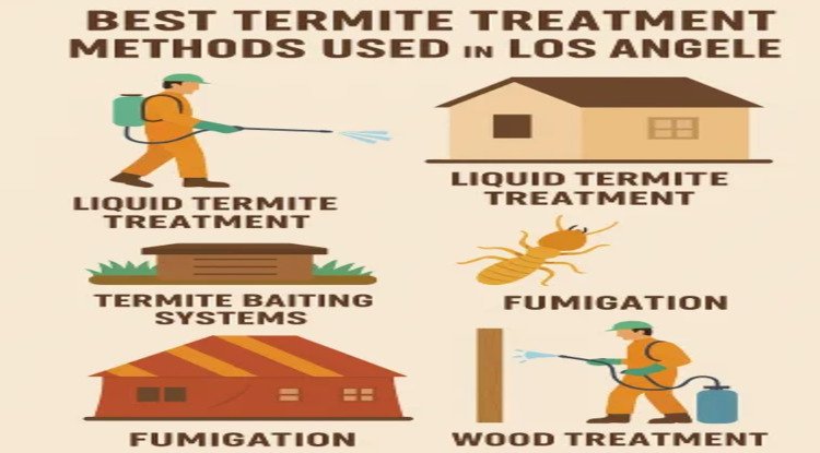 Best Termite Treatment Methods Used in Los Angeles - Termite Control ...